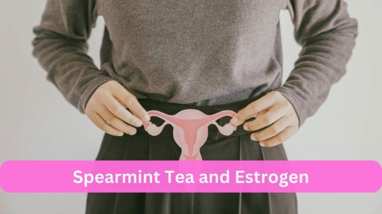 Does Spearmint Tea Increase Estrogen? - Its MAM